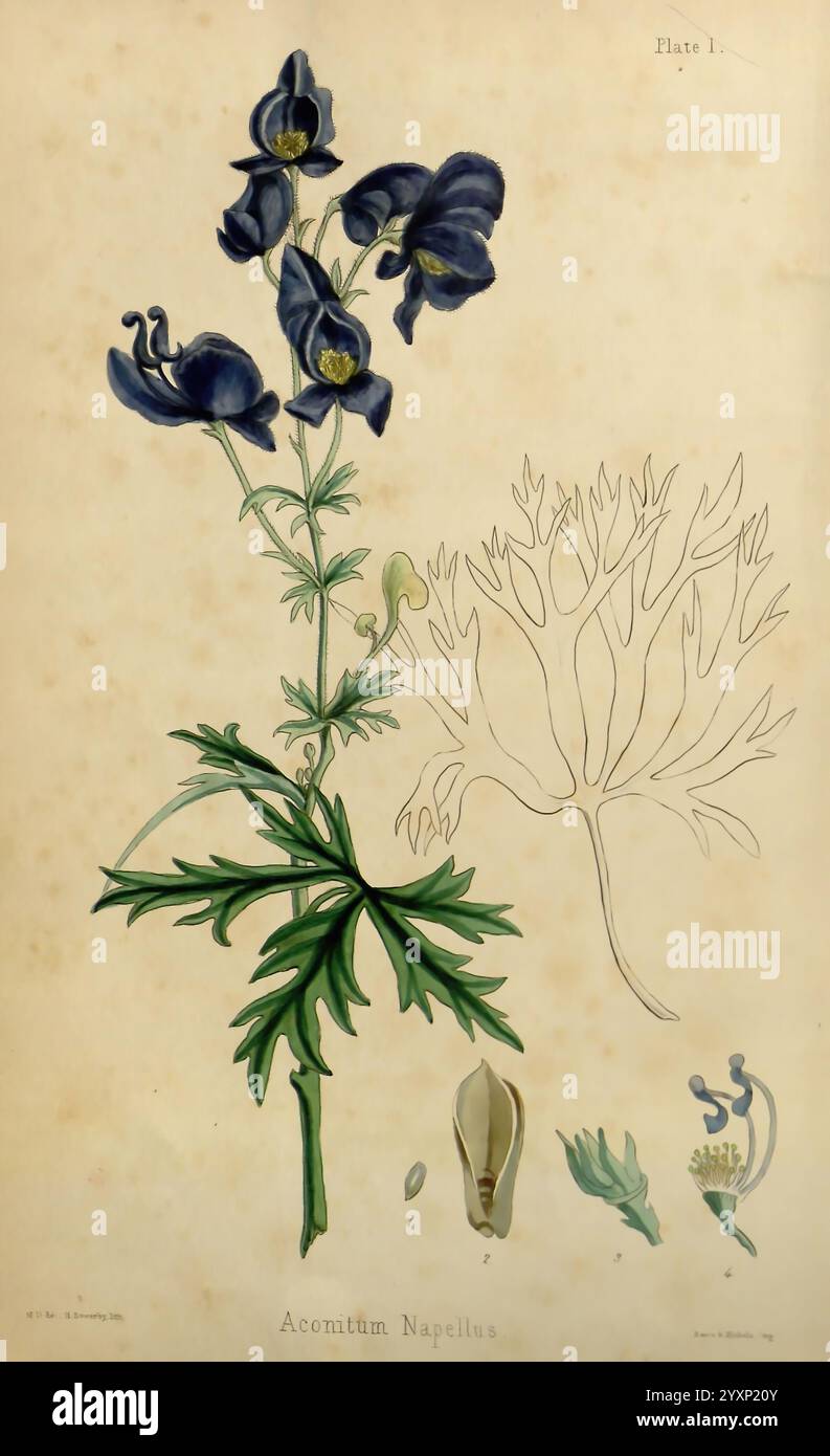 Detailed representation highlights different aspects hi-res stock ...