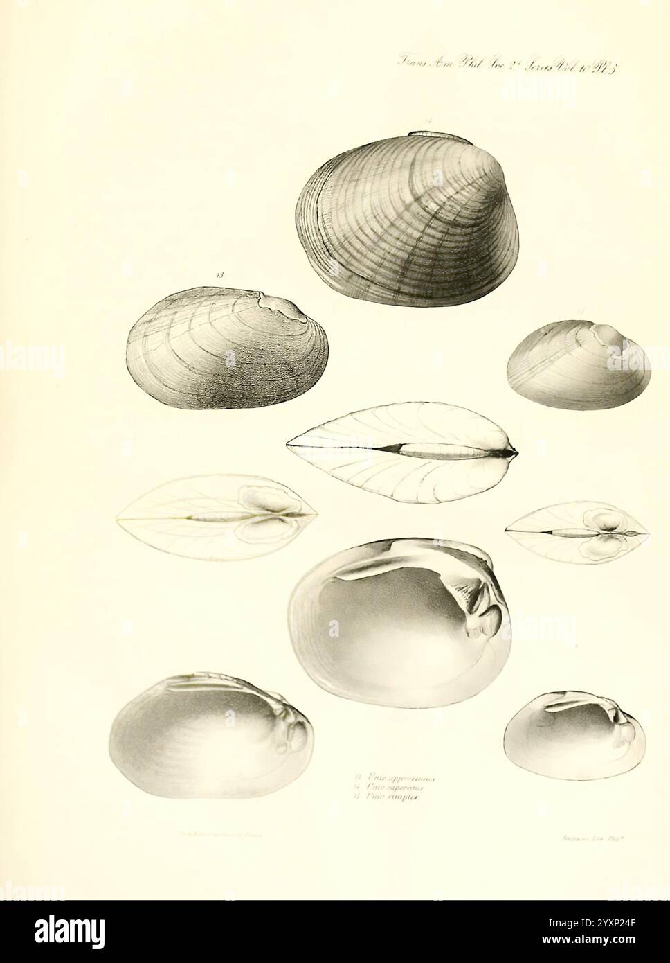Organized classification system hi-res stock photography and images - Alamy