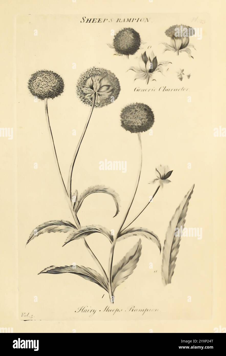 Generic characteristics hi-res stock photography and images - Alamy