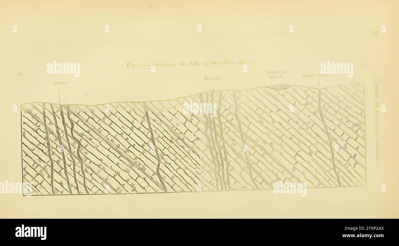 The Quarterly Journal of the Geological Society of London, v. 37 (1881 ...