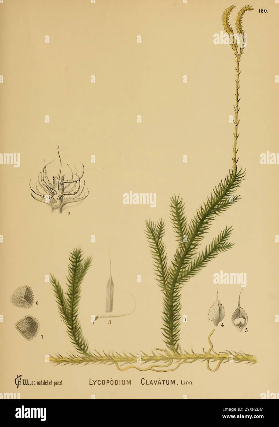 Accompanying diagrams illustrate hi-res stock photography and images ...