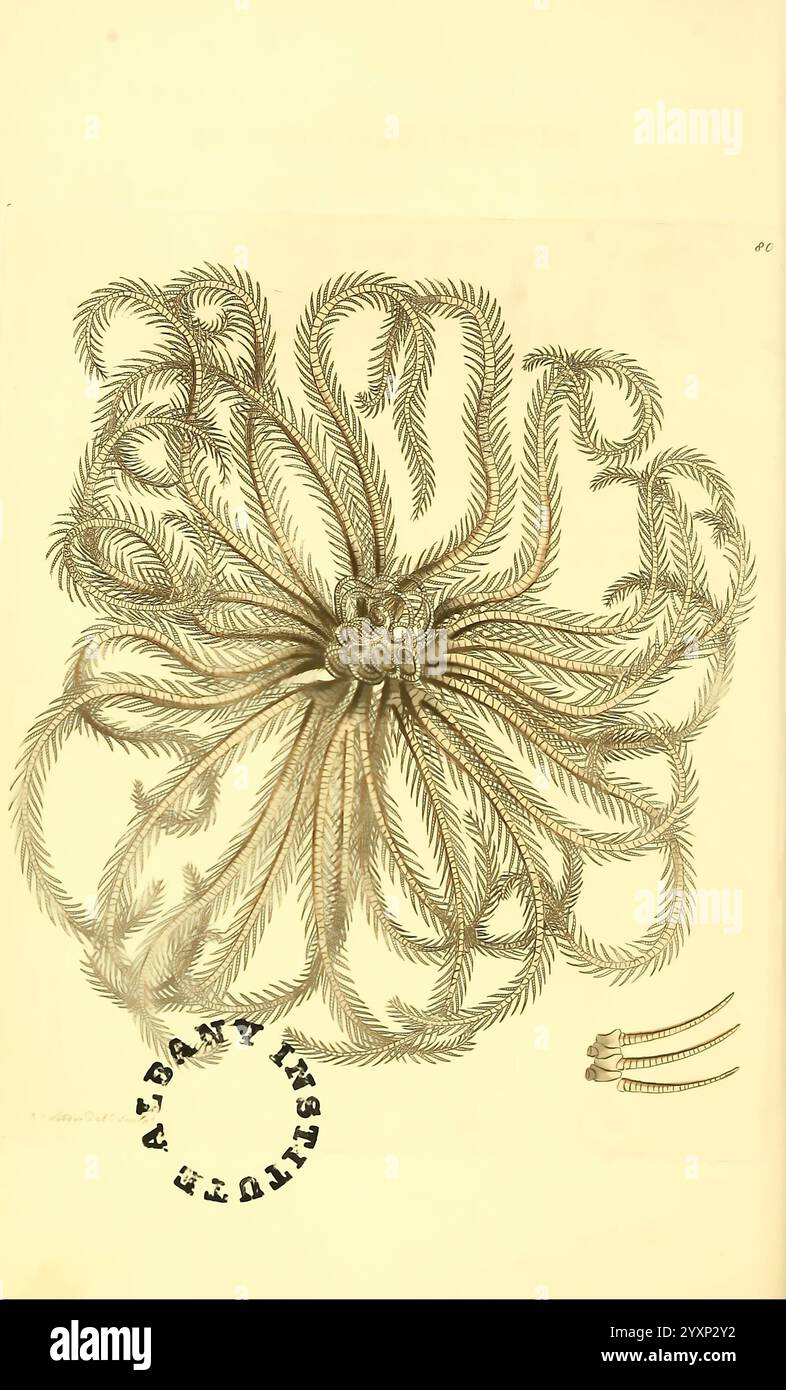 Elaborate structures create hi-res stock photography and images - Alamy