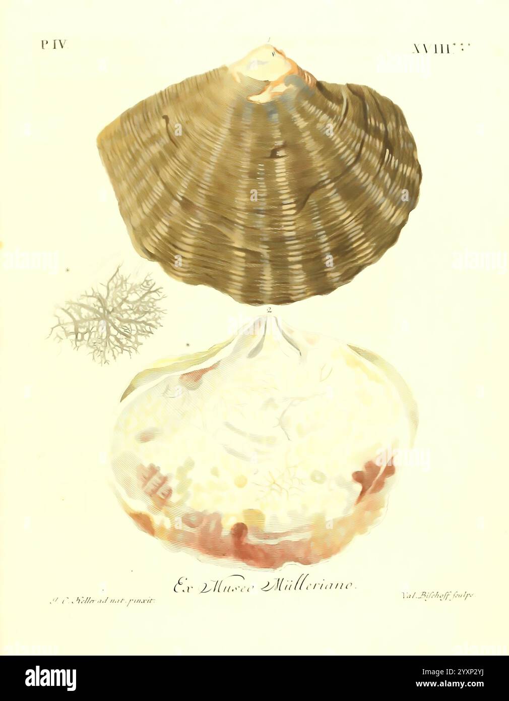 Handwritten inscription referencing hi-res stock photography and images ...