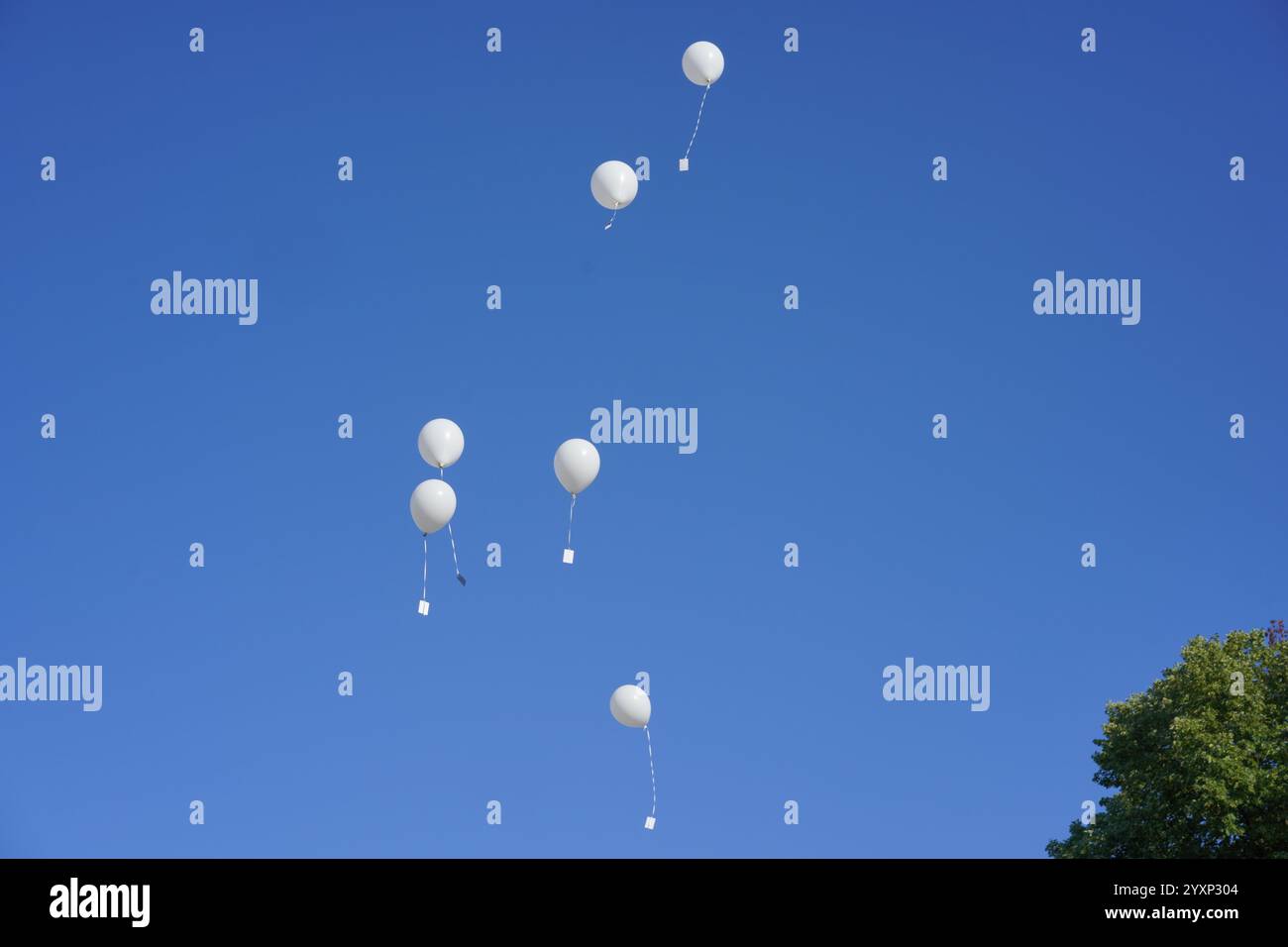 A bunch of white balloons are floating in the sky. The balloons are ...