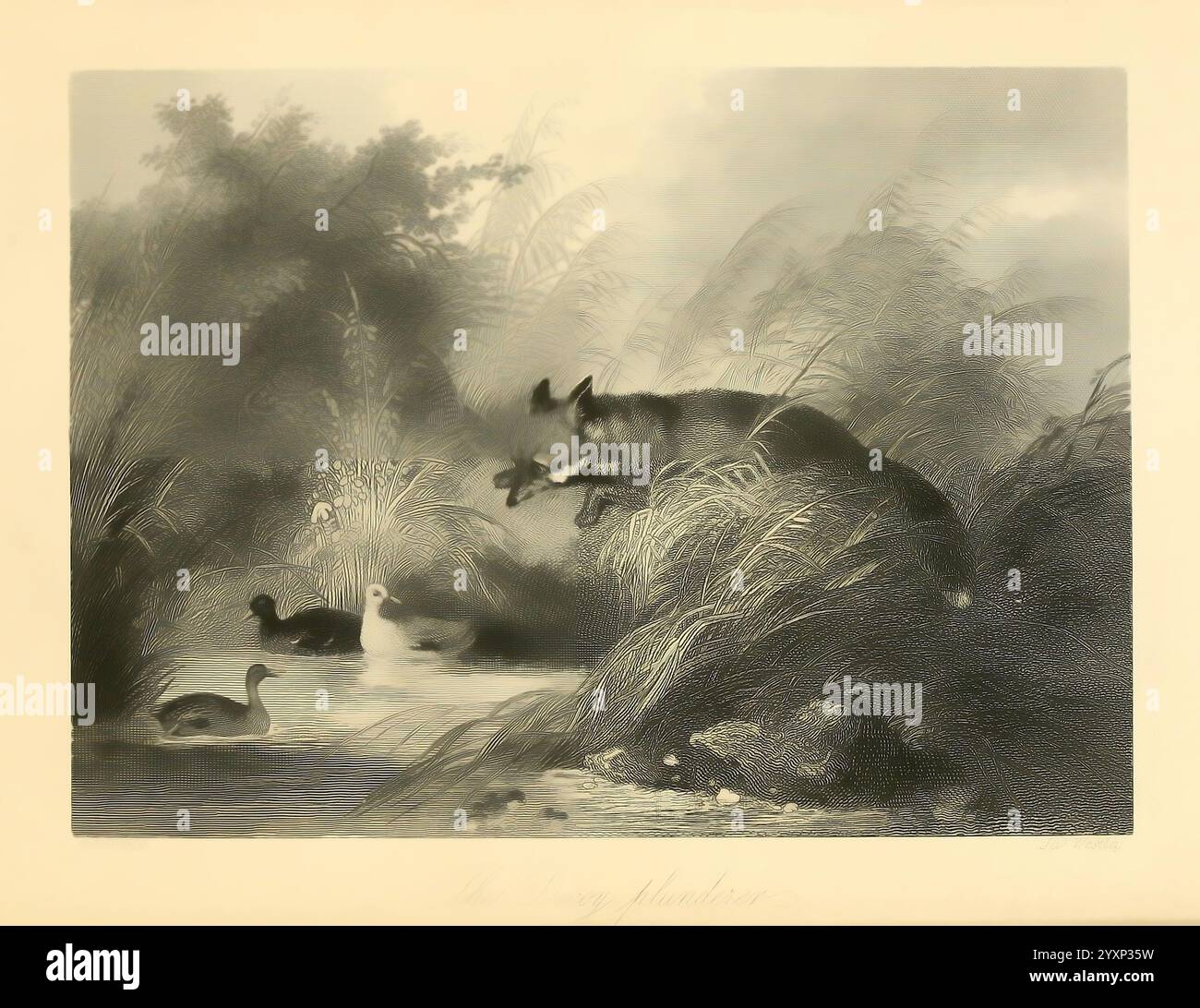 1864 fowling game hi-res stock photography and images - Alamy