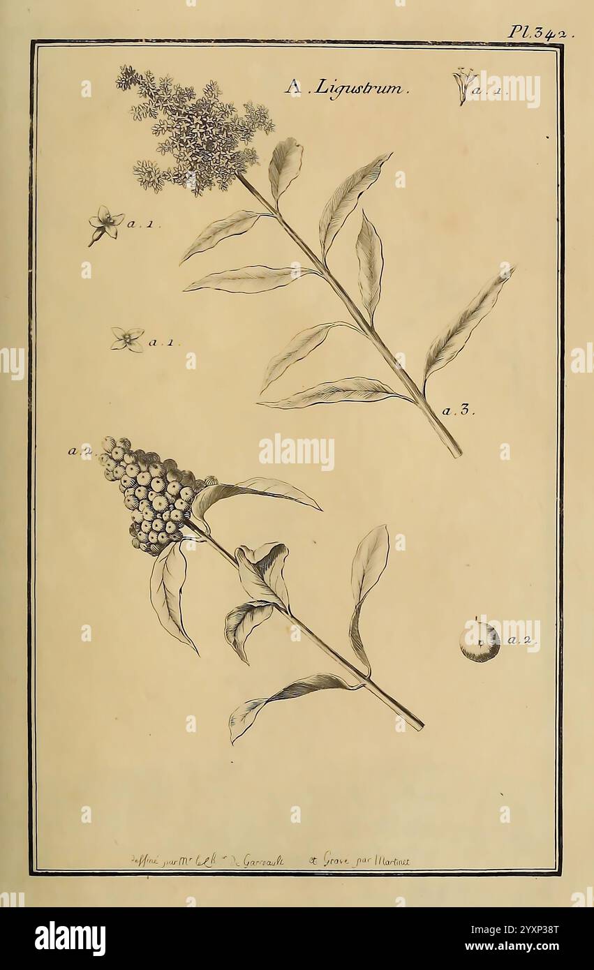 Les figures des plantes et animaux d'usage en medicine, Paris, Desprez ...
