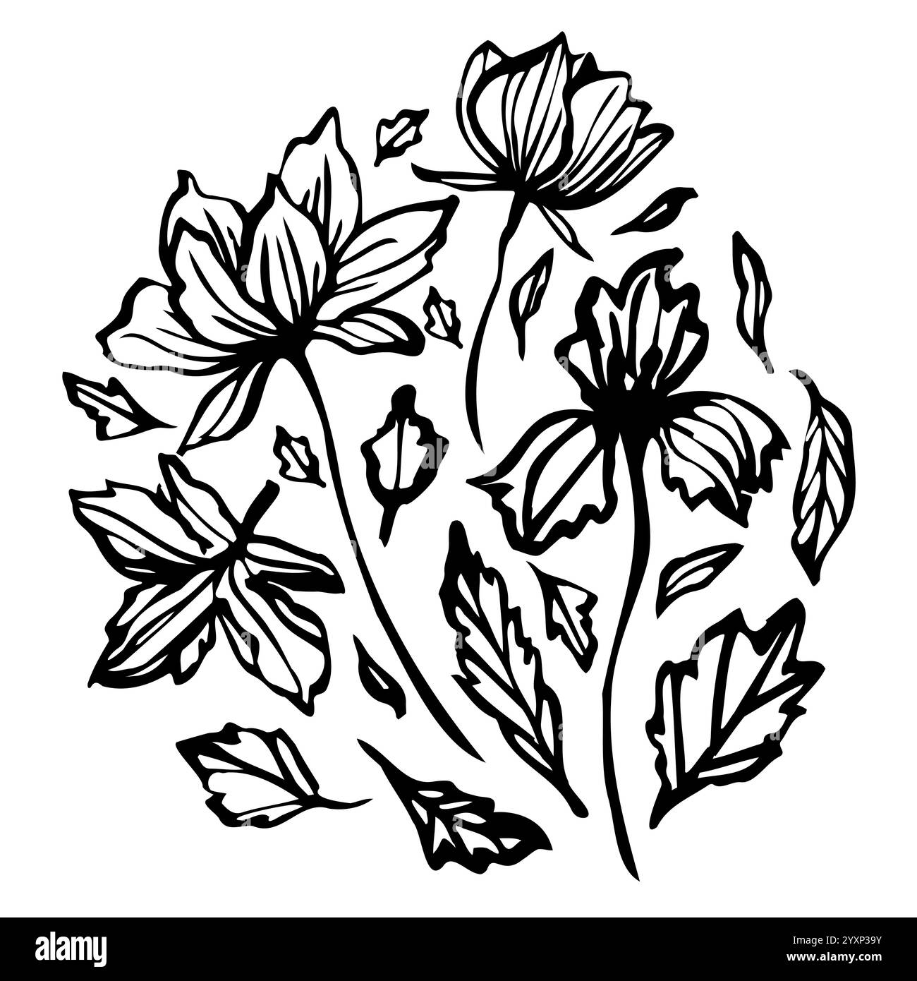 round composition with elegant vector hand drawn botanical line art ...