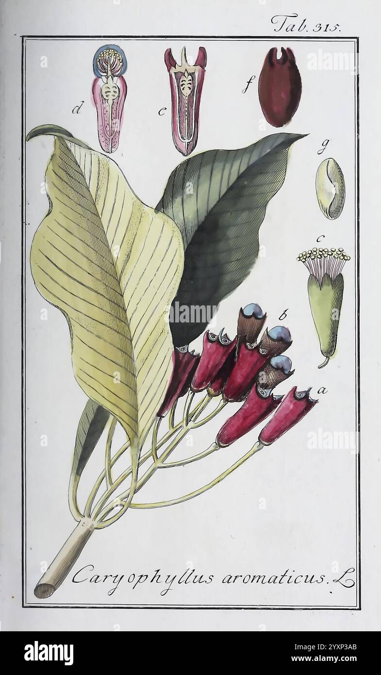 Illustration depicts various components hi-res stock photography and ...