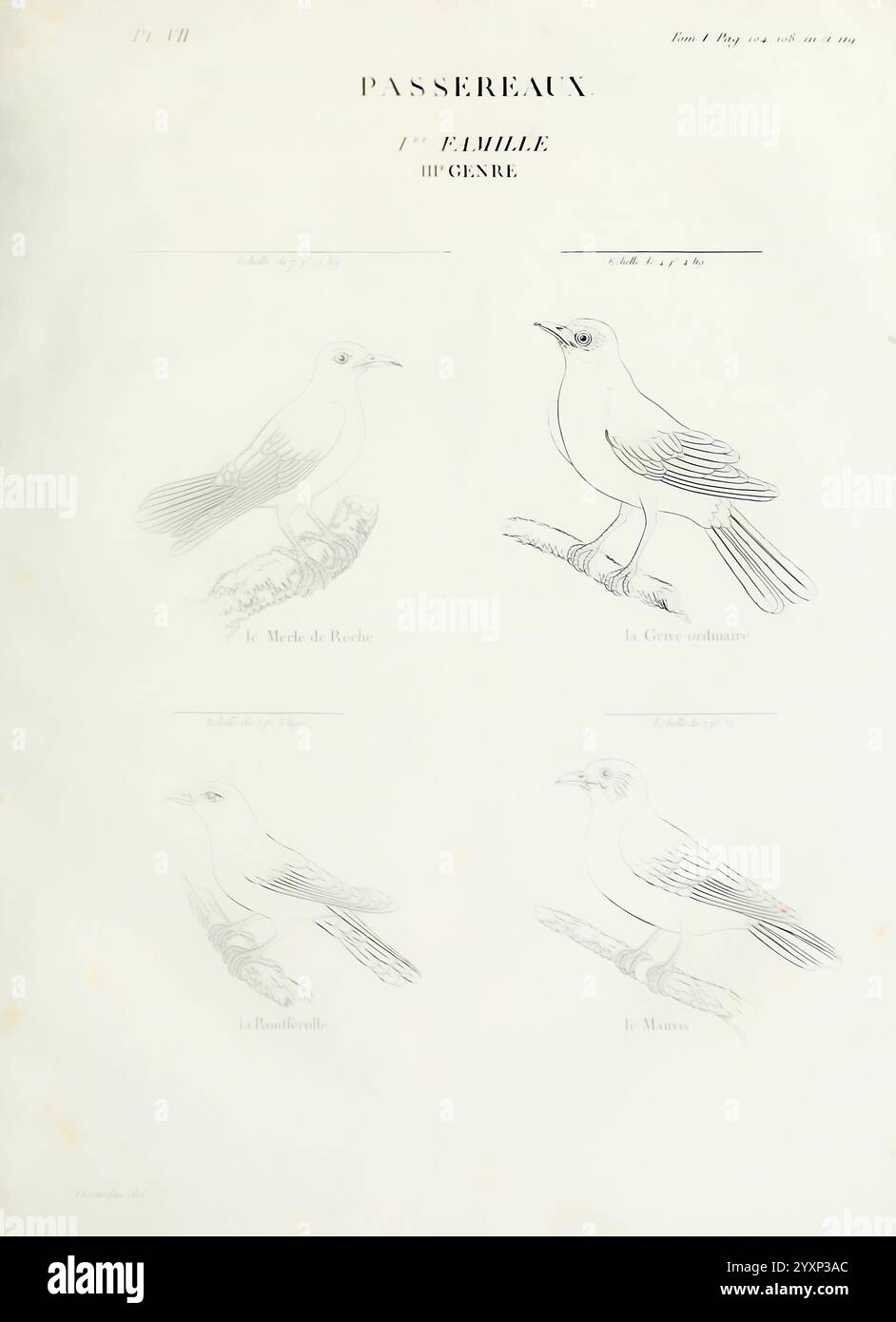 Which include ord hi-res stock photography and images - Alamy