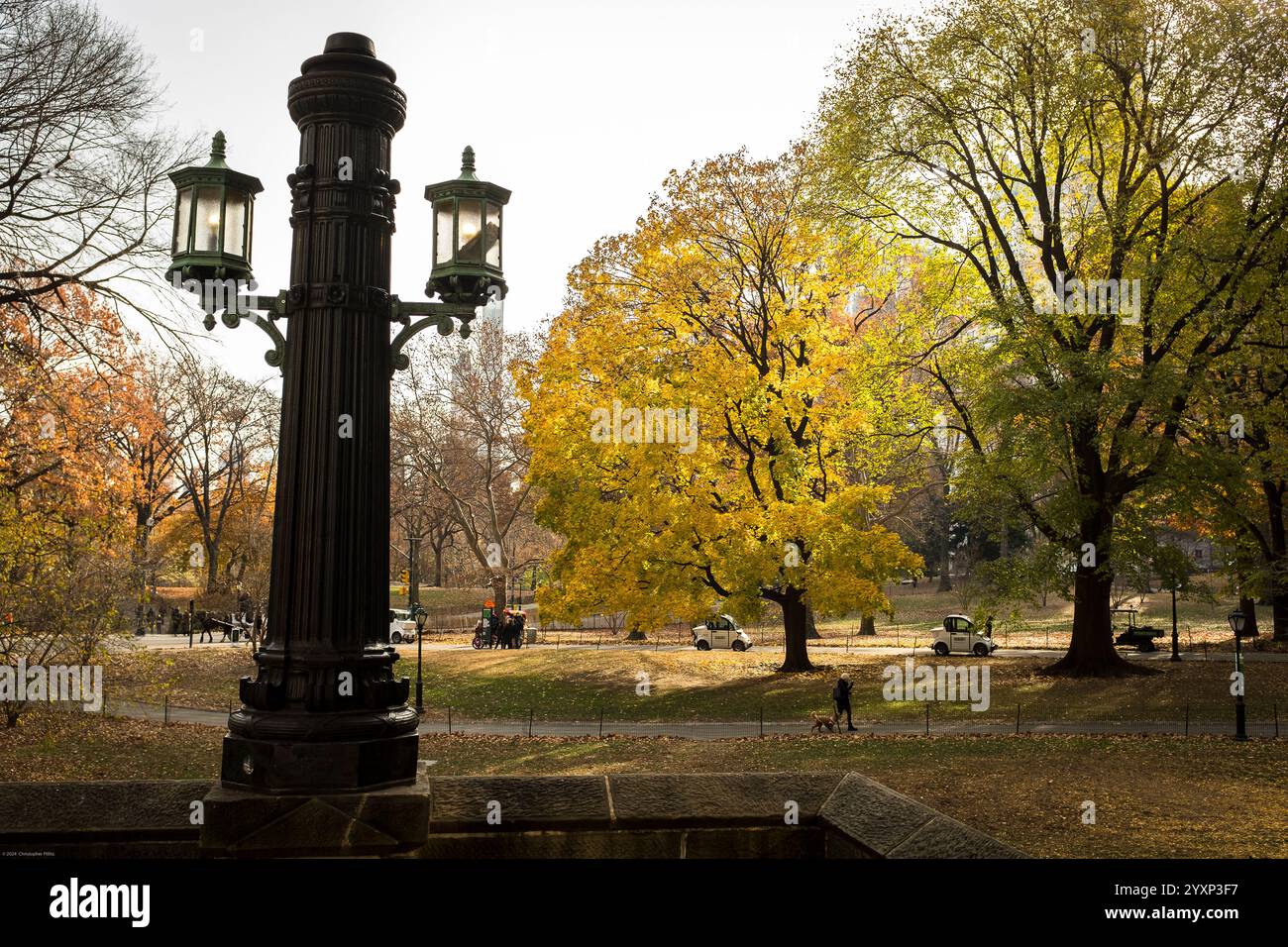Late autumn (fall) in Central Park, New York City, USA Stock Photo - Alamy