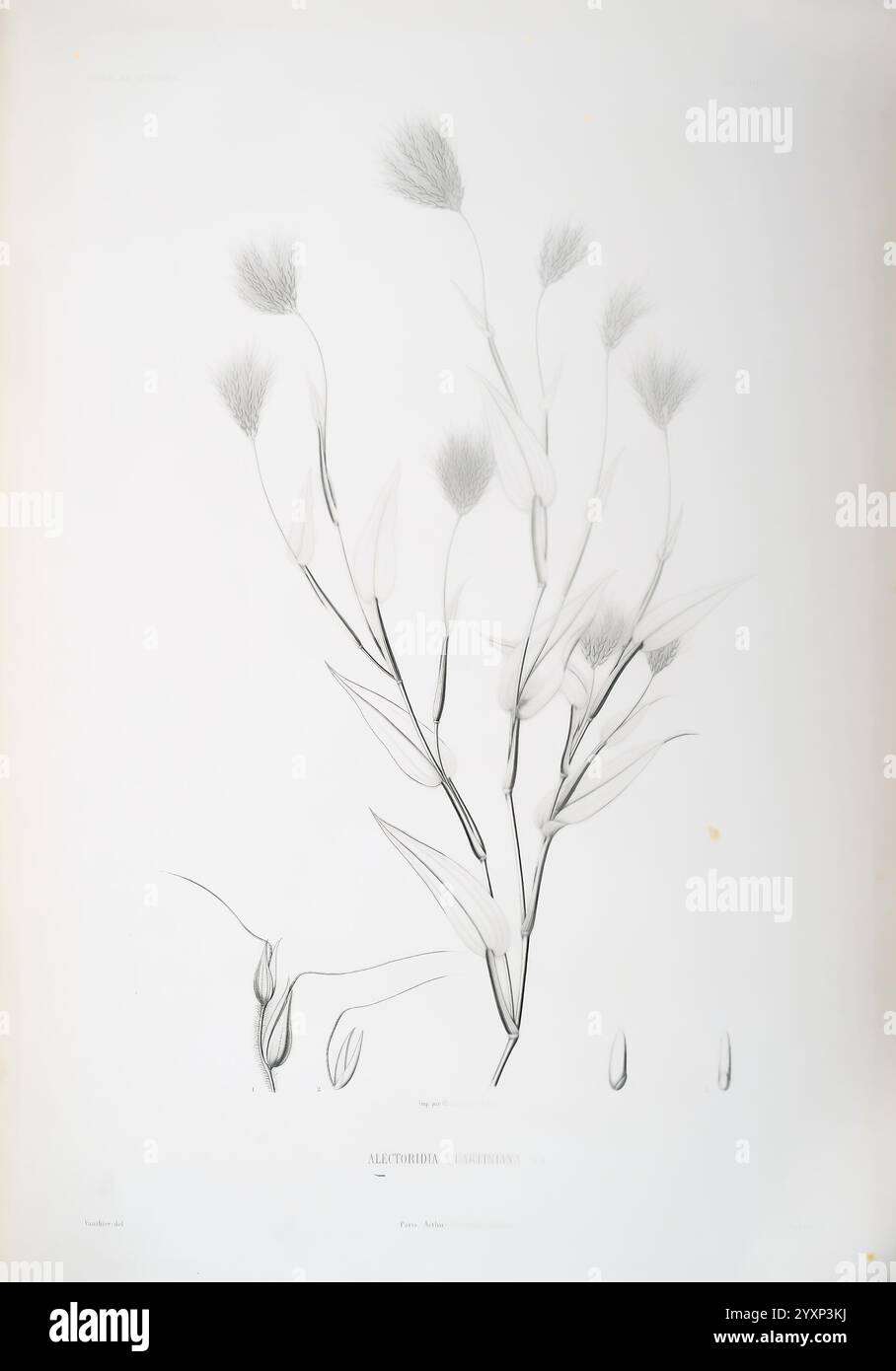 Linework captures hi-res stock photography and images - Alamy