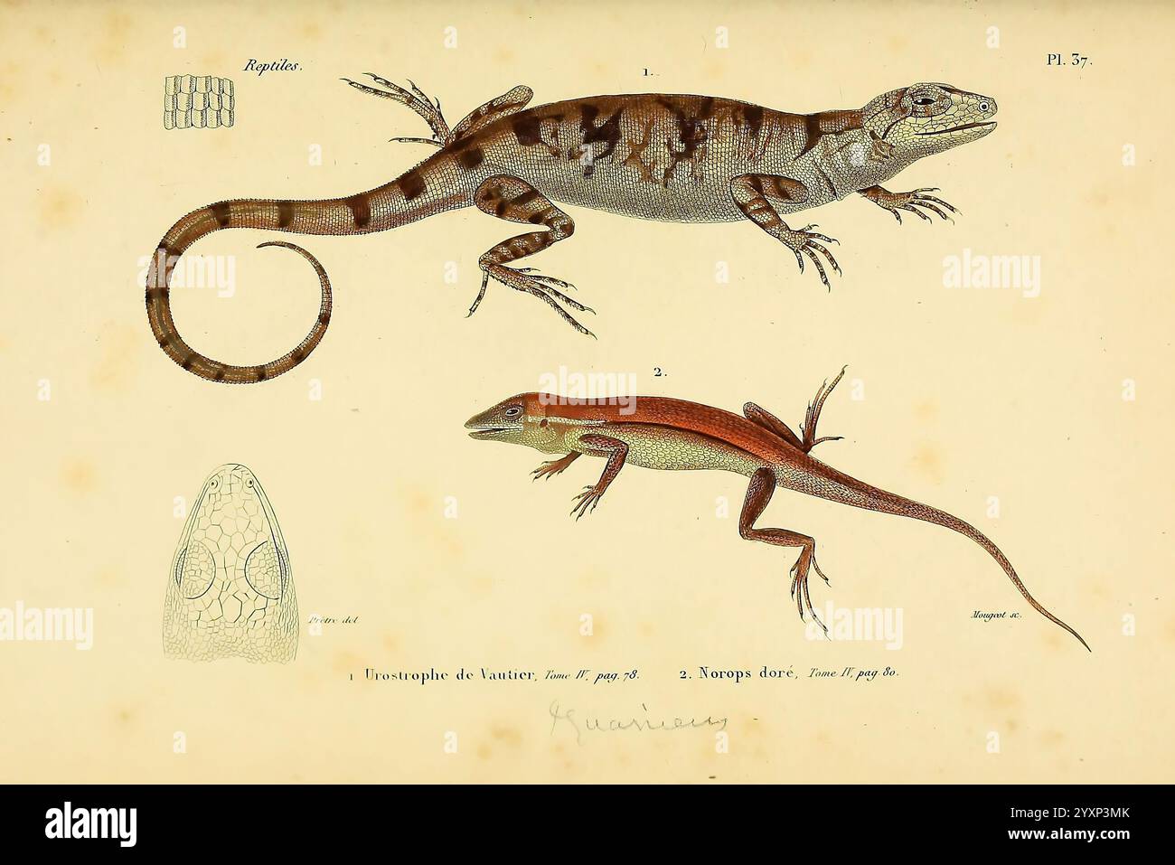 Educational label indicates hi-res stock photography and images - Alamy