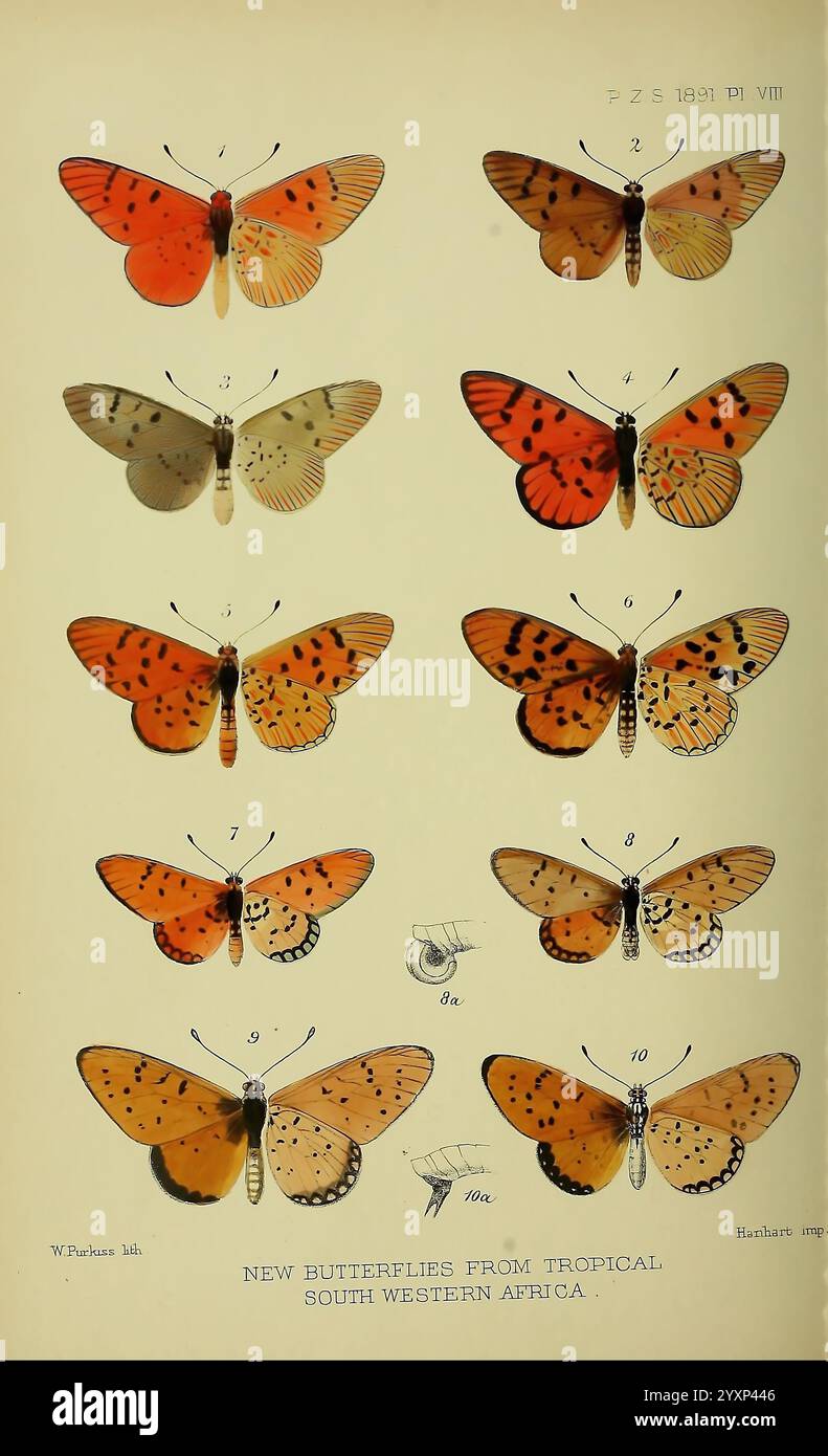 Additional annotations number hi-res stock photography and images - Alamy