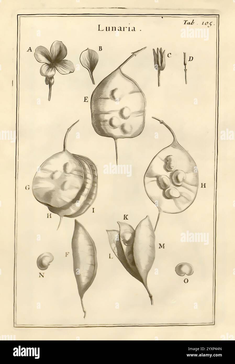 Labeled sections detailing hi-res stock photography and images - Alamy