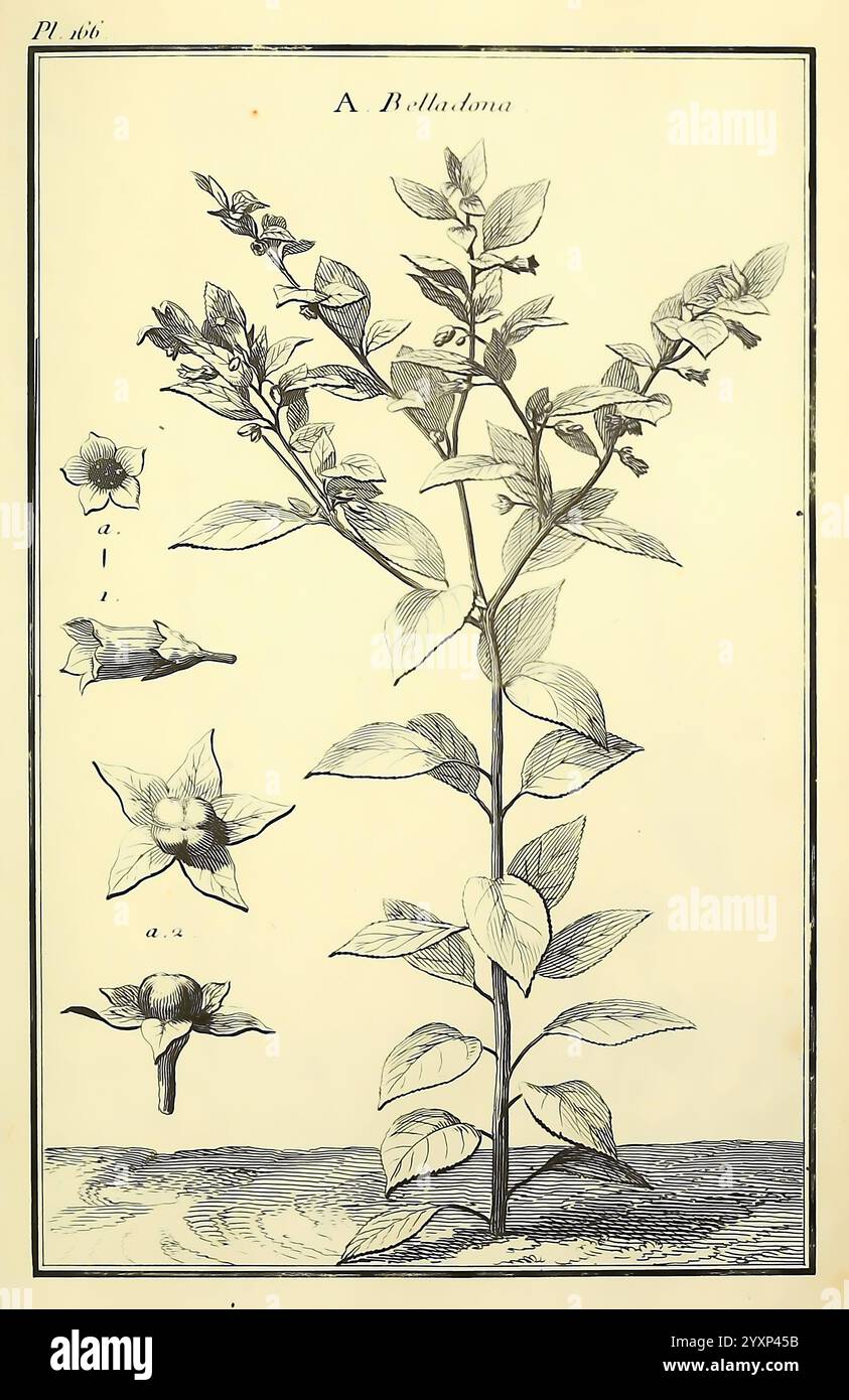 Les figures des plantes et animaux d'usage en medecine, Paris, Desprez ...