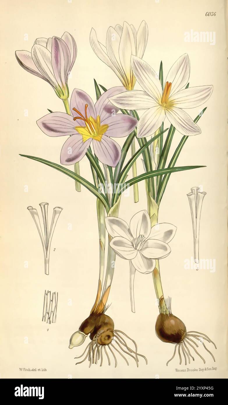 Additional diagrams detail hi-res stock photography and images - Alamy