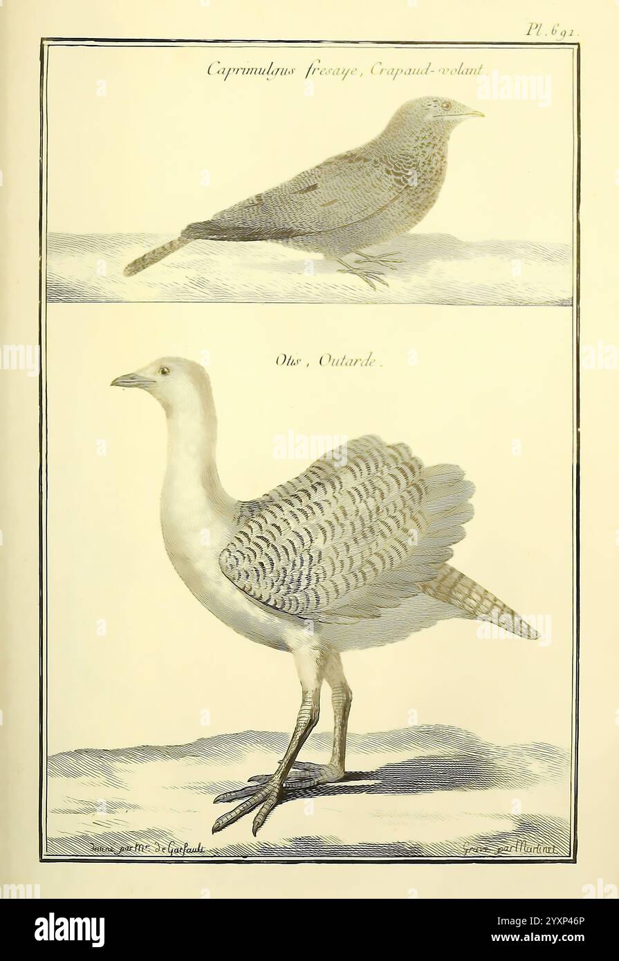 Les figures des plantes et animaux d'usage en medecine, Paris, Desprez ...