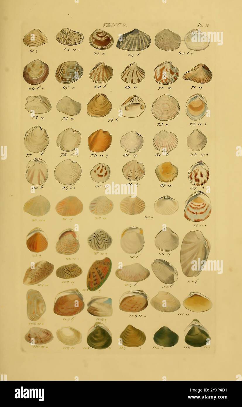 Comprehensive visual guide serves hi-res stock photography and images ...