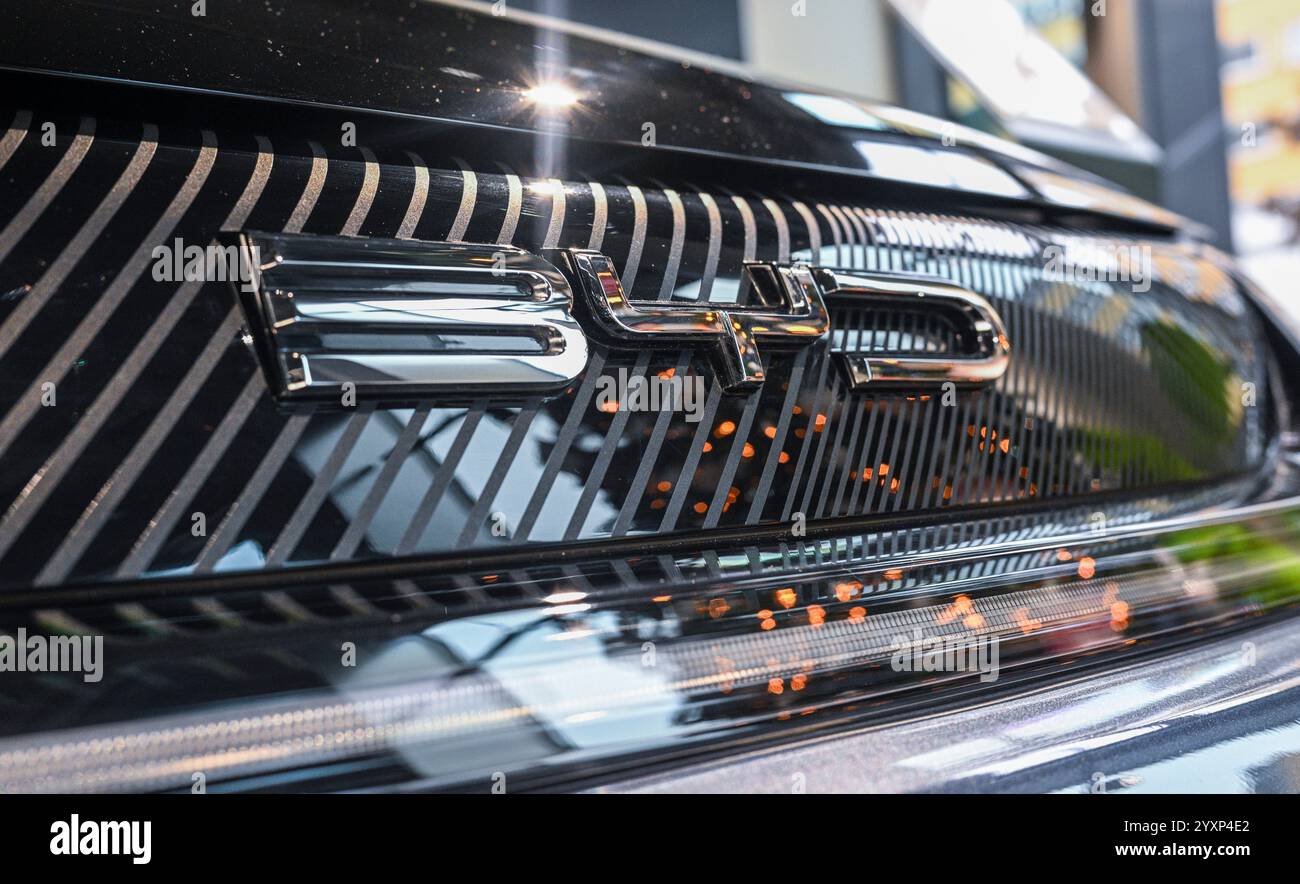 Berlin, Germany. 06th Dec, 2024. The BYD logo on a BYD Dolphin car in ...