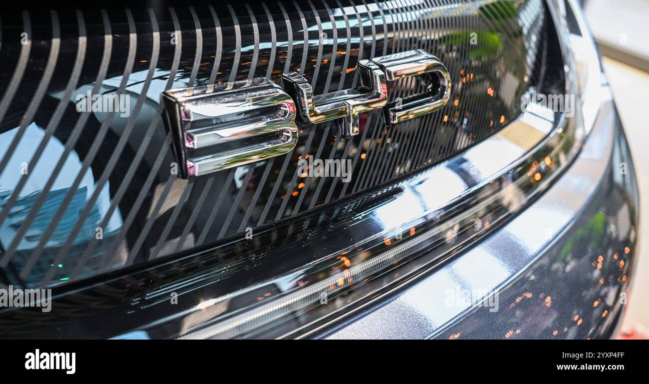 Berlin, Germany. 06th Dec, 2024. The BYD logo on a BYD Dolphin car in ...