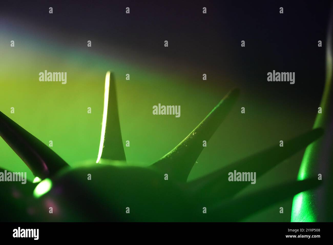 A close up of a green plant with sharp, pointed spikes. The spikes are ...