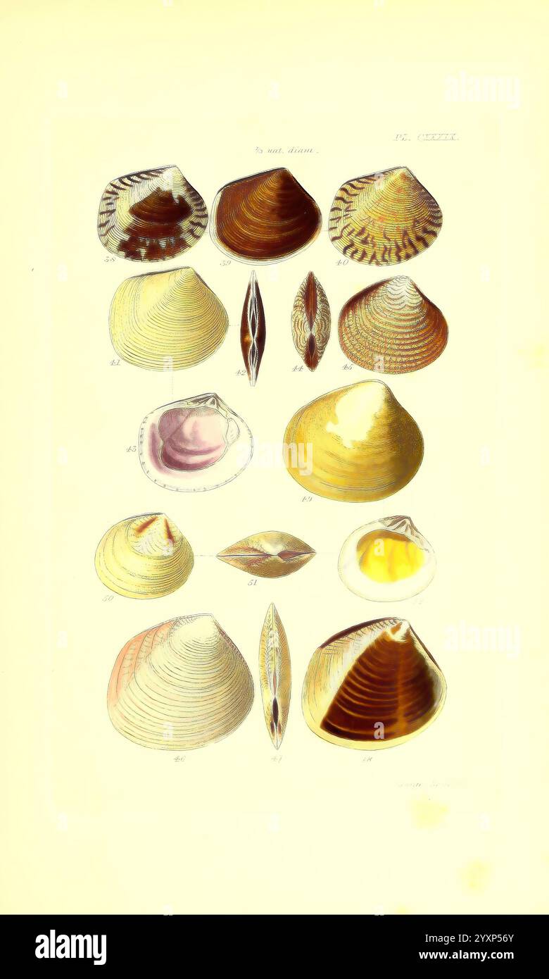 Designs showcase diverse shapes hi-res stock photography and images - Alamy