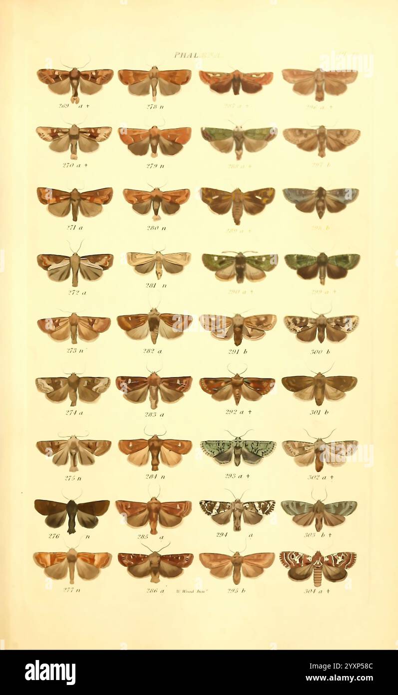 Systematic arrangement reflects hi-res stock photography and images - Alamy