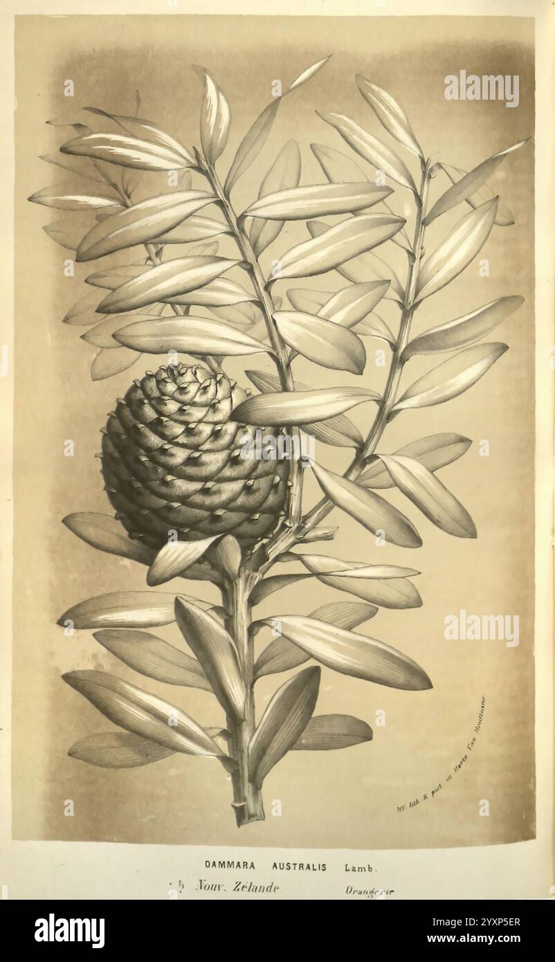 Prominent spiral cone hi-res stock photography and images - Alamy