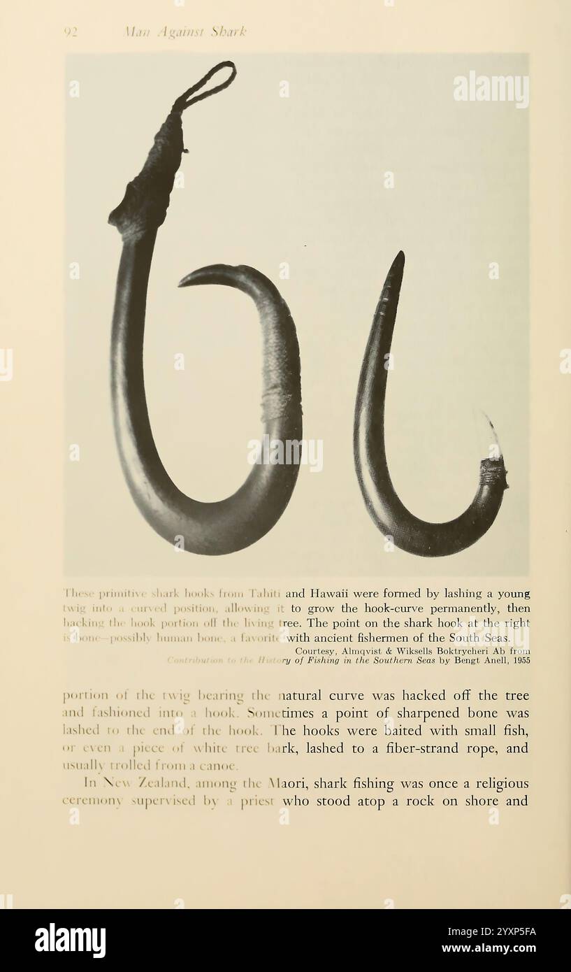 Traditional shark hook hi-res stock photography and images - Alamy