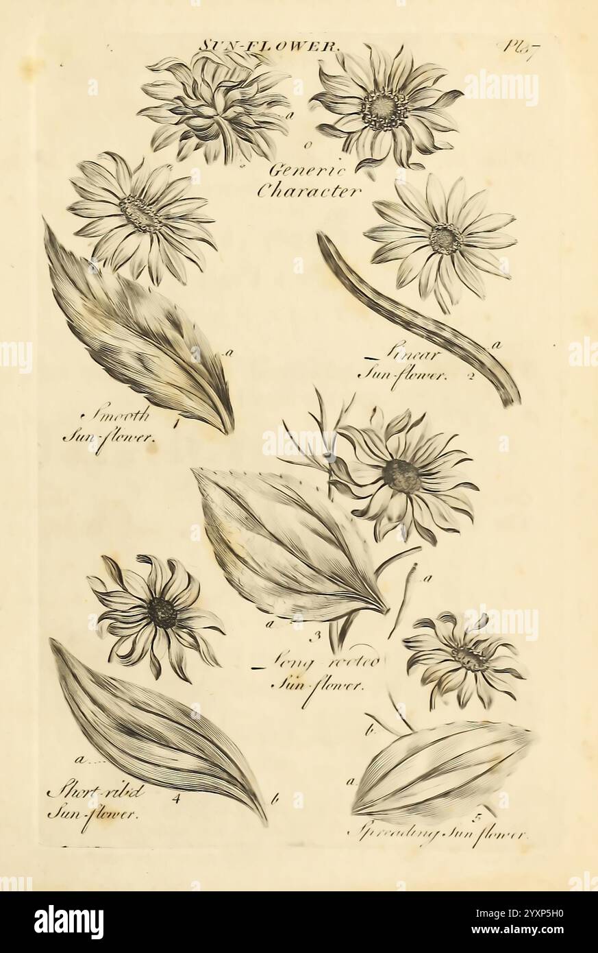 The vegetable system London Printed at the expence of the author and ...