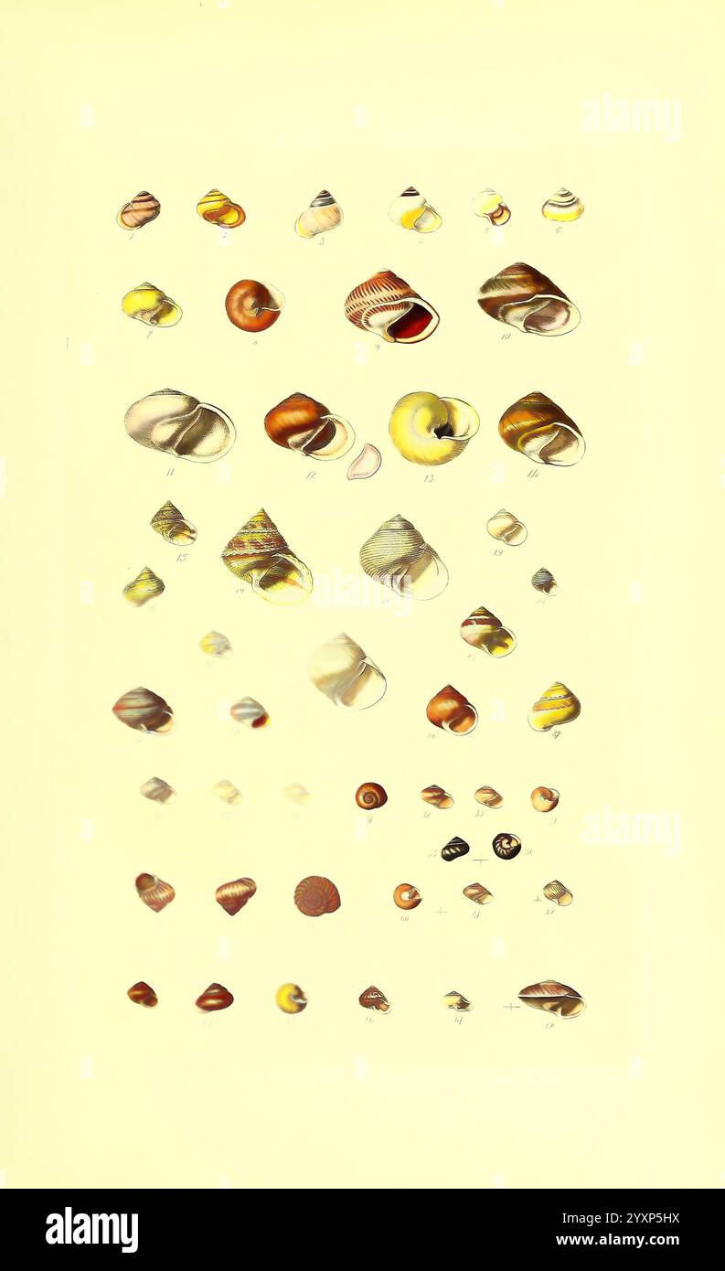 uniqueness thesaurus