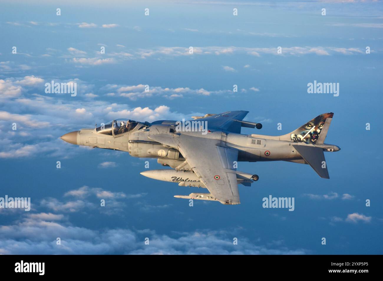 Italian Navy AV-8B aircraft from GRUPAER in flight Stock Photo - Alamy