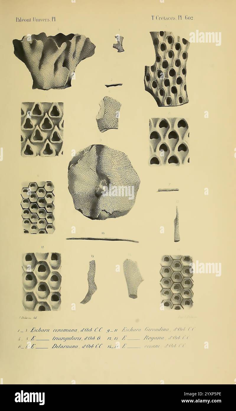 Visual study includes hi-res stock photography and images - Alamy