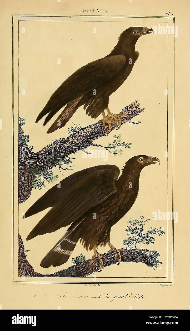 Folded atlases hi-res stock photography and images - Alamy