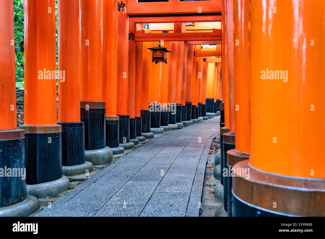The torii gate covered walking path at Fushimi Inari Taisha temple in ...