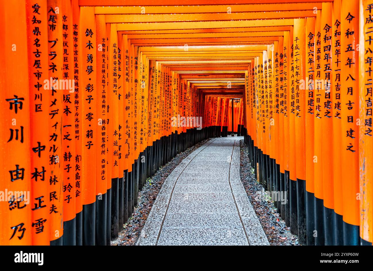 The torii gate covered walking path at Fushimi Inari Taisha temple in ...
