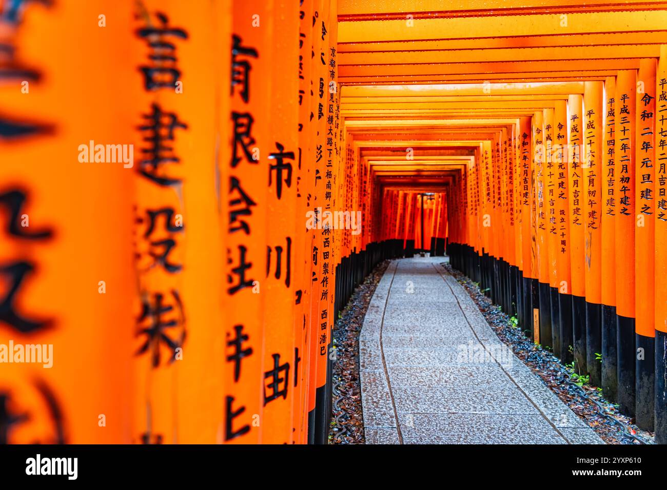 The torii gate covered walking path at Fushimi Inari Taisha temple in ...