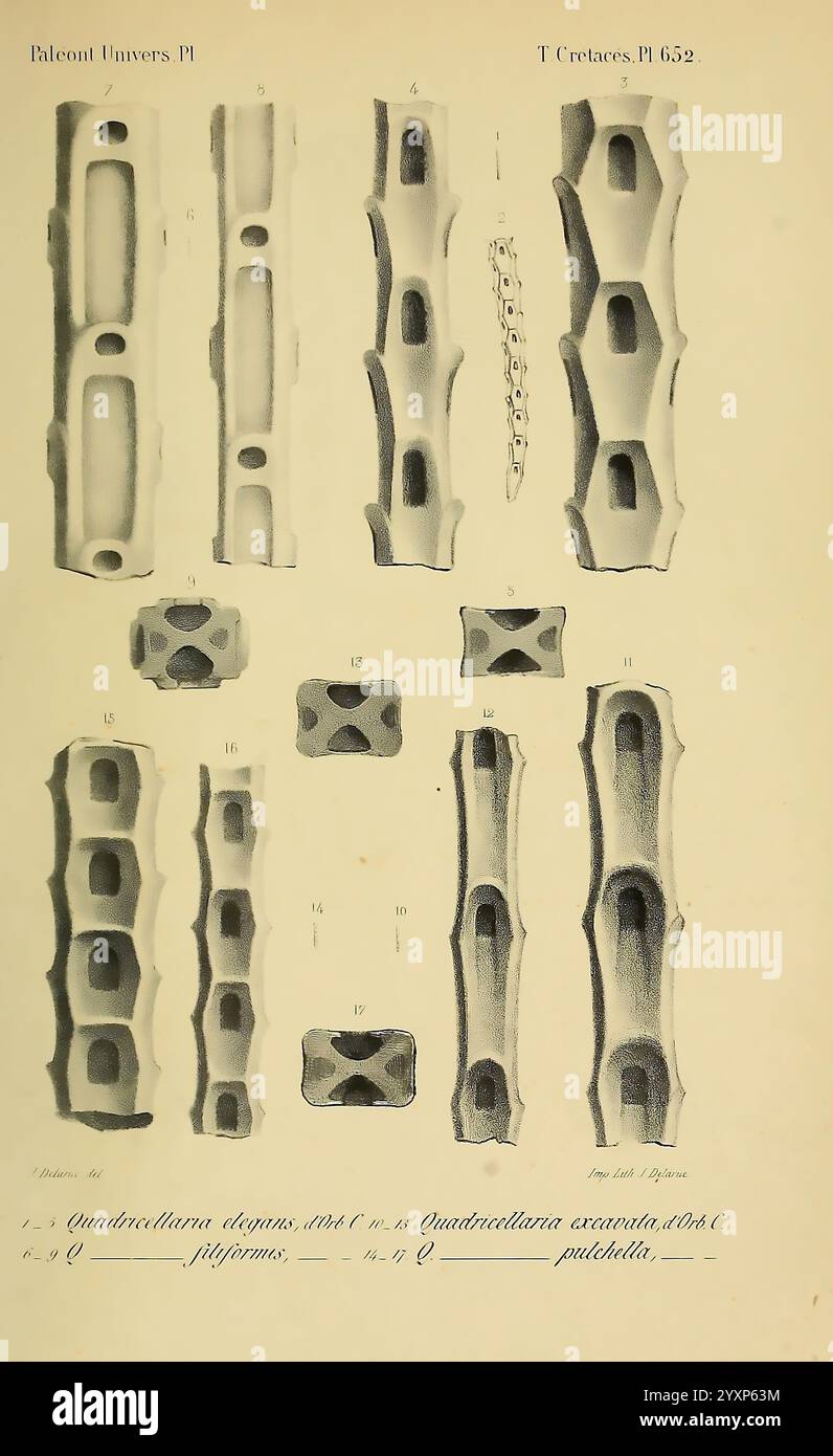 Tubular formations hi-res stock photography and images - Alamy