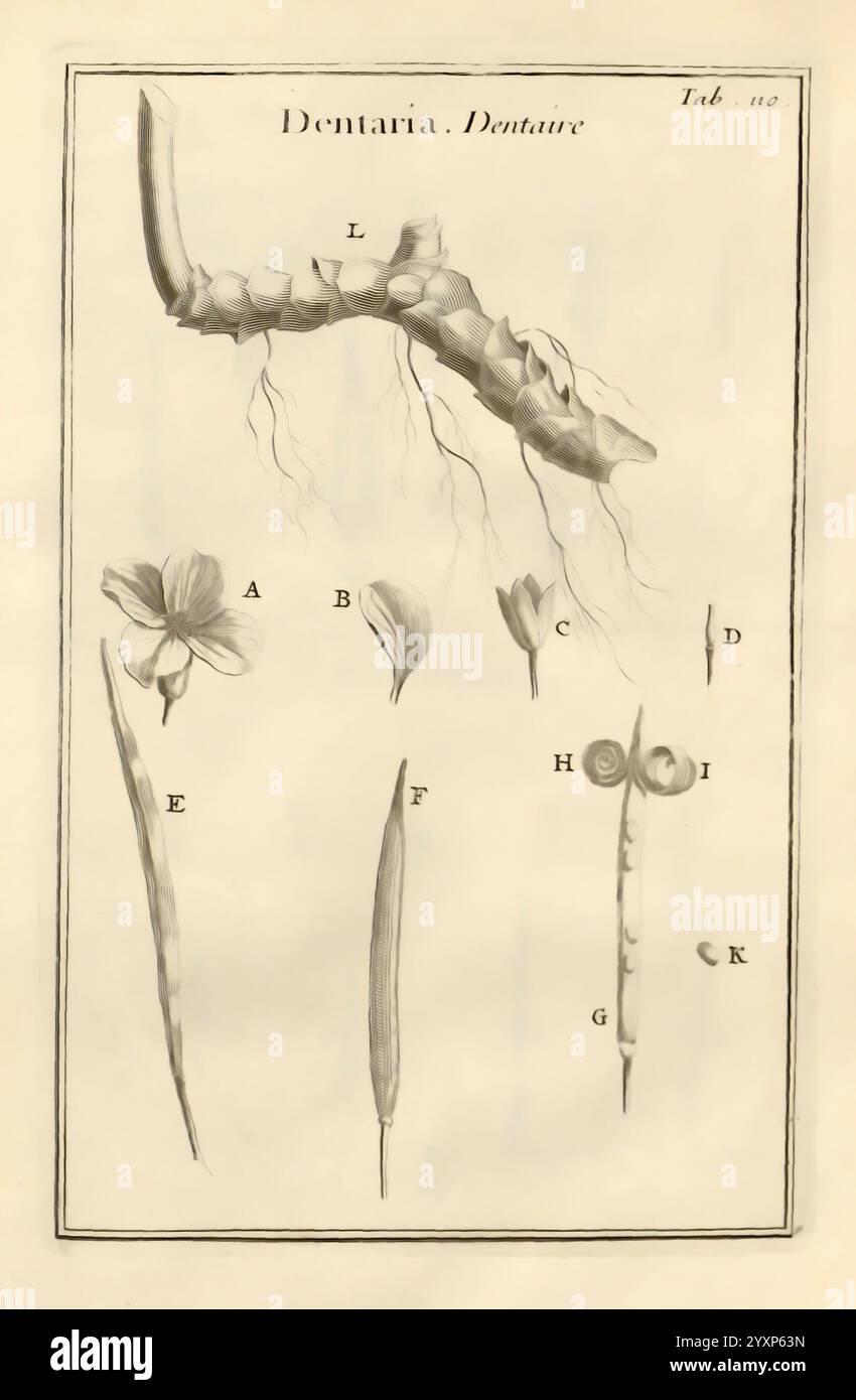 Section designated hi-res stock photography and images - Alamy