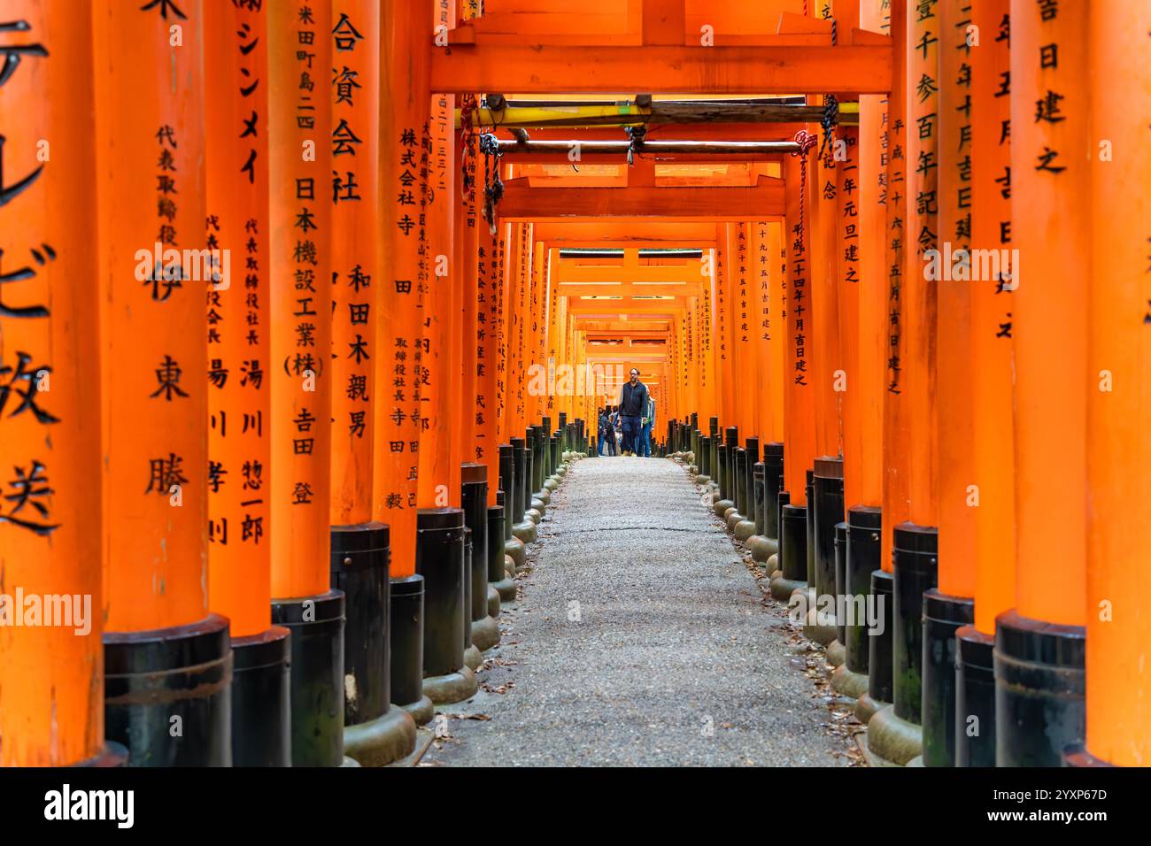 The torii gate covered walking path at Fushimi Inari Taisha temple in ...
