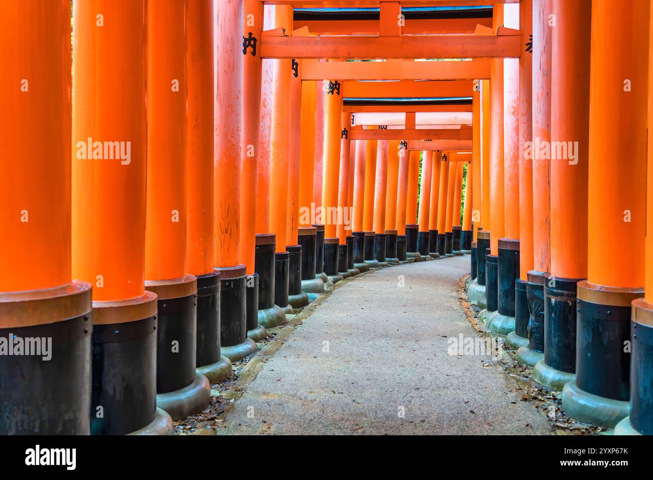 The torii gate covered walking path at Fushimi Inari Taisha temple in ...