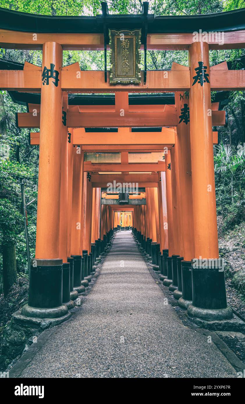 The torii gate covered walking path at Fushimi Inari Taisha temple in ...