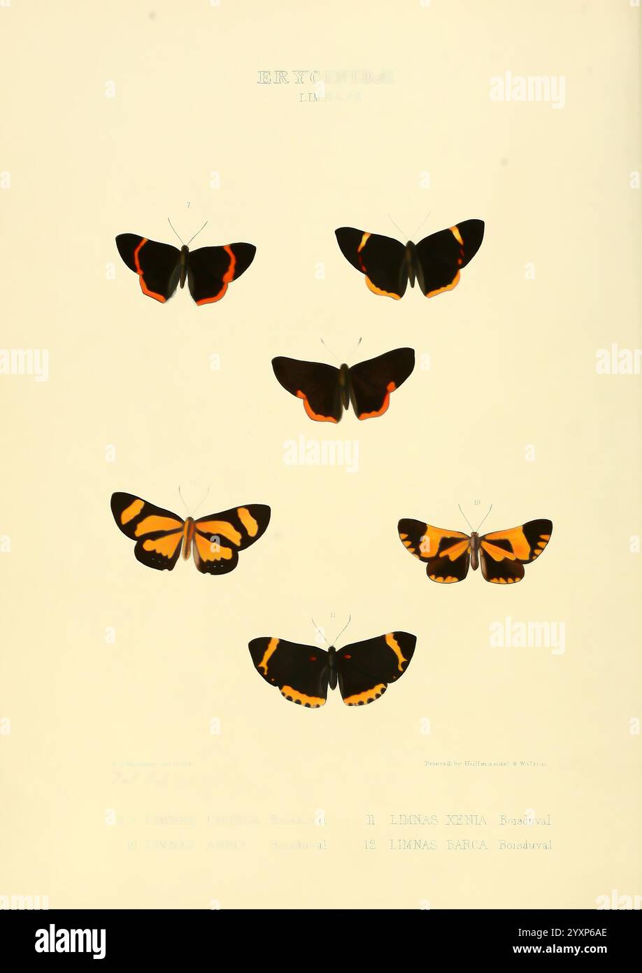 Layout features three rows hi-res stock photography and images - Alamy