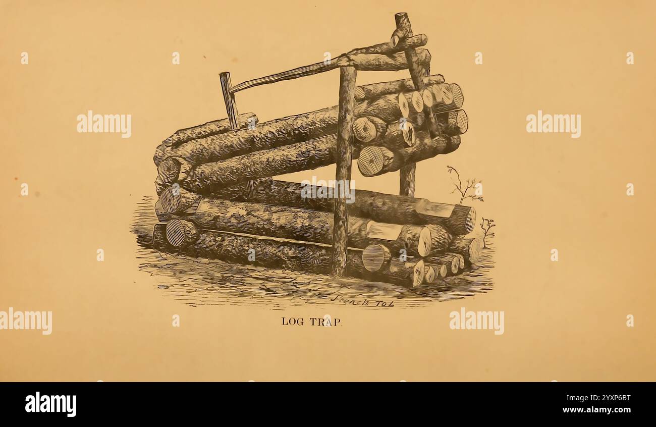 Log trap structure hi-res stock photography and images - Alamy