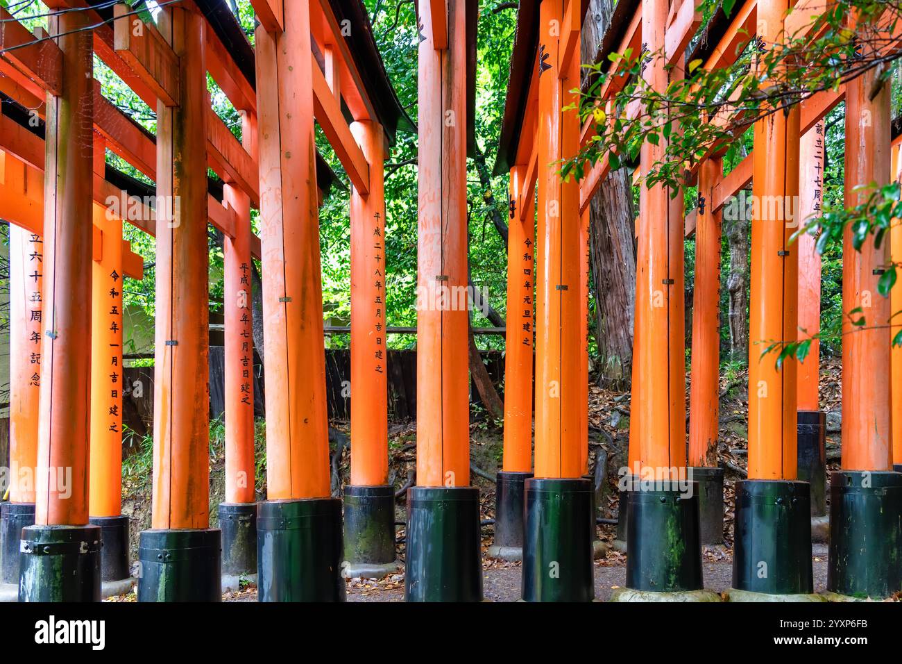 The torii gate covered walking path at Fushimi Inari Taisha temple in ...