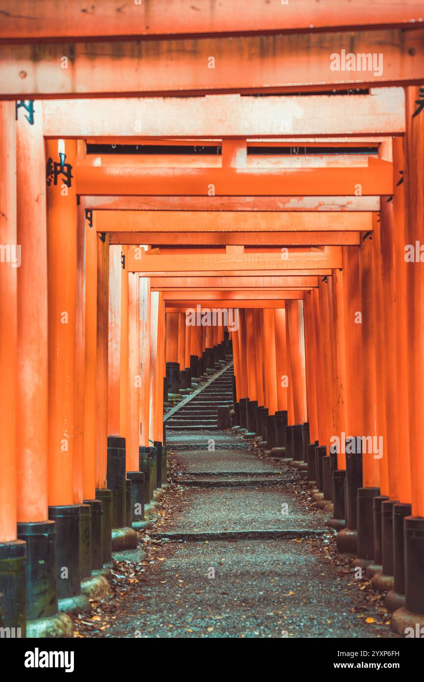 The torii gate covered walking path at Fushimi Inari Taisha temple in ...