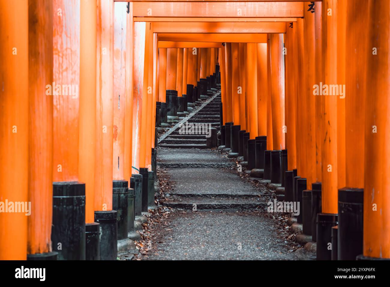 The torii gate covered walking path at Fushimi Inari Taisha temple in ...