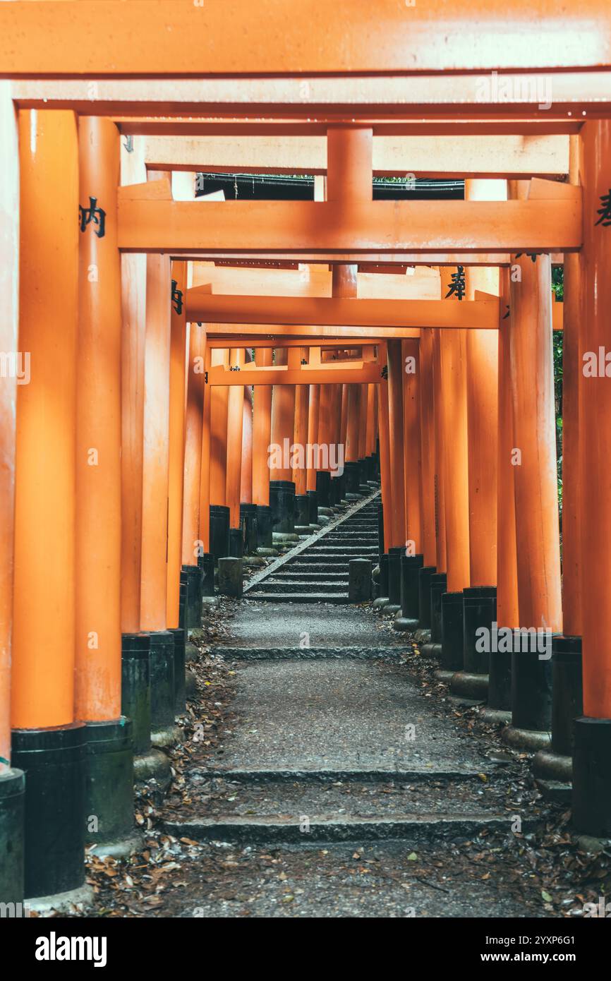 The torii gate covered walking path at Fushimi Inari Taisha temple in ...