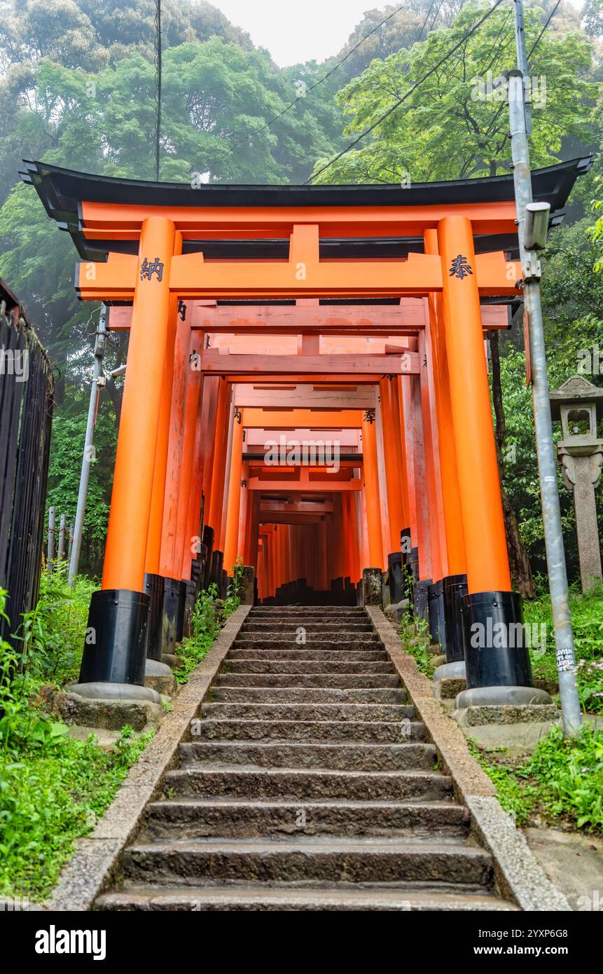 The torii gate covered walking path at Fushimi Inari Taisha temple in ...