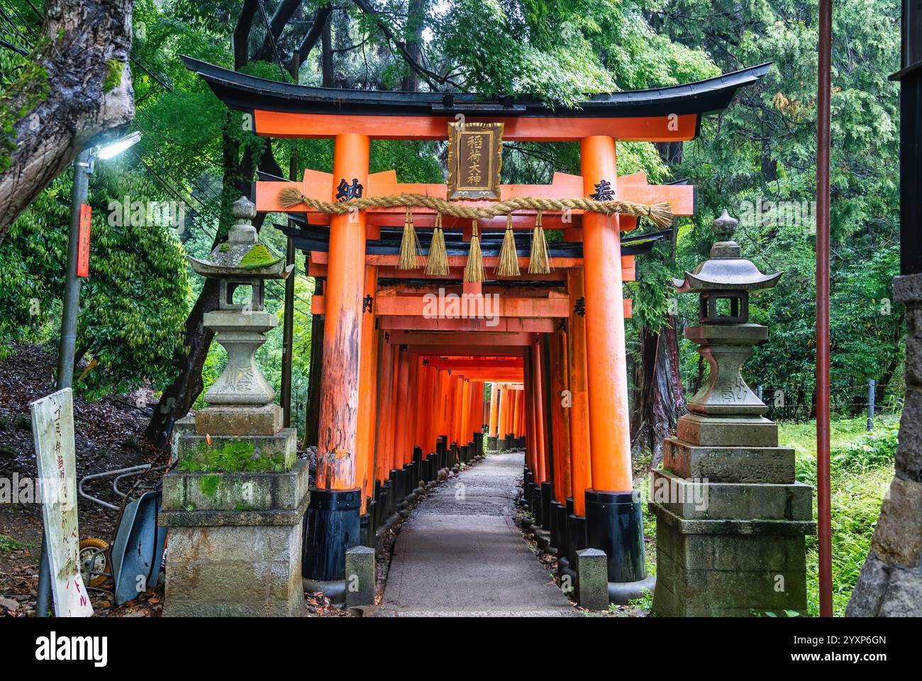 The torii gate covered walking path at Fushimi Inari Taisha temple in ...